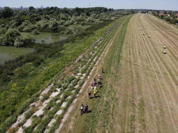 Reva - Confluence of European Water Bodies
